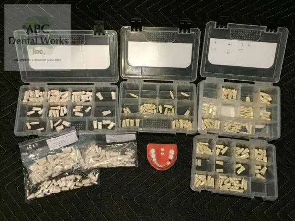 Kavo Jaw, Skin, with Typodents, Extra ModuPro Carrier – ABCDentalworks